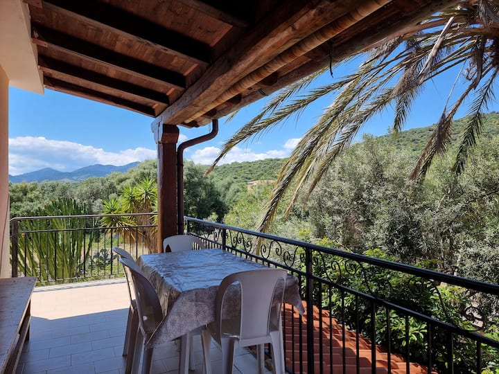 Lu Rinaggiu Ps - Budoni Sweet Home - Budoni