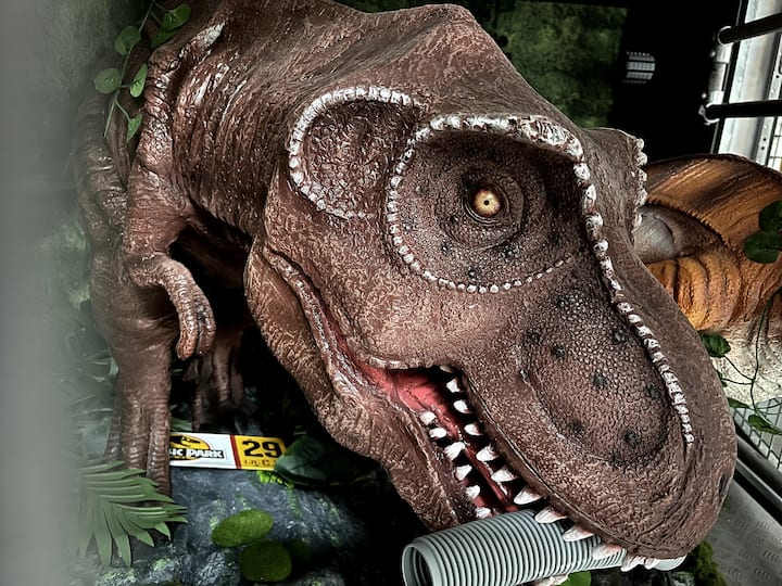 Jurassic Appart - Brest