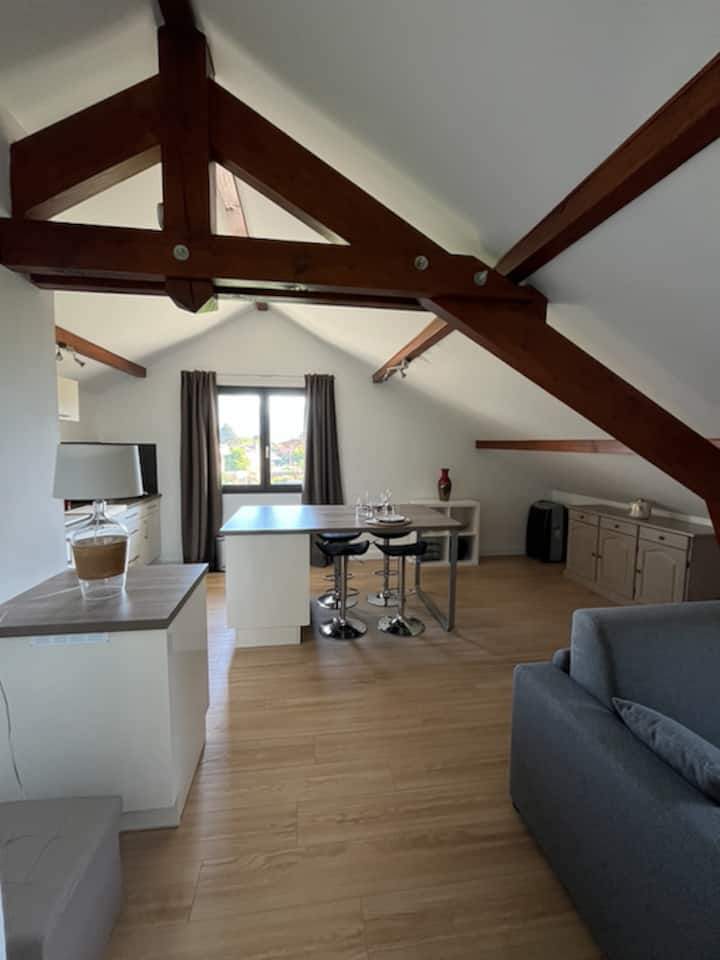 Appartement Cosy à 5 Min Du Lac - Sévrier