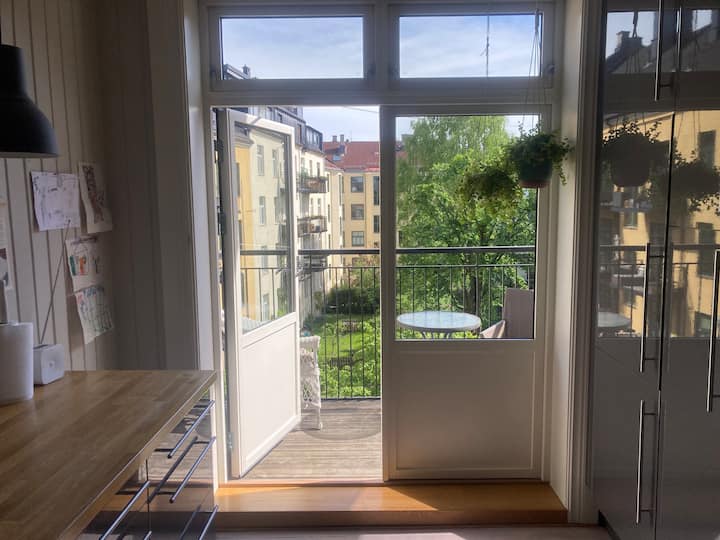 Lys Og Fin Sentrumsnær Leilighet - Oslo