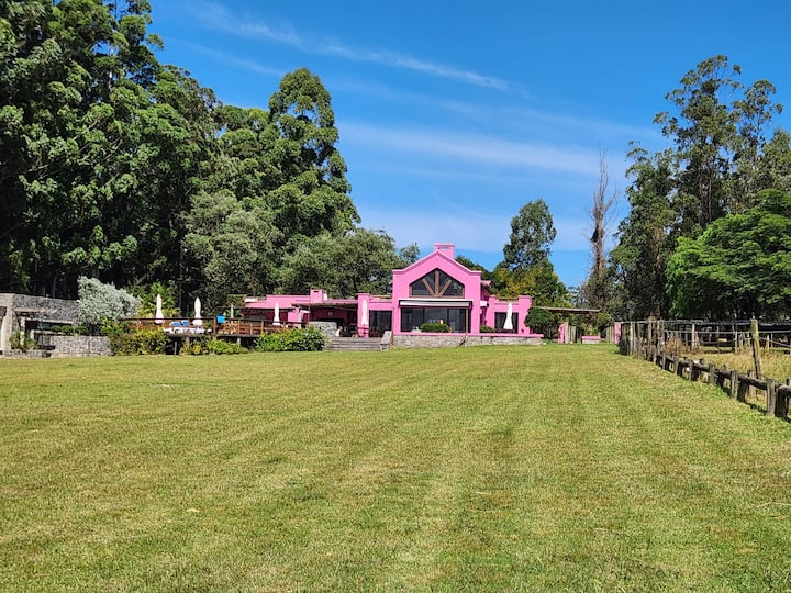 Chacra: Haras Prados Del Este. - San Carlos