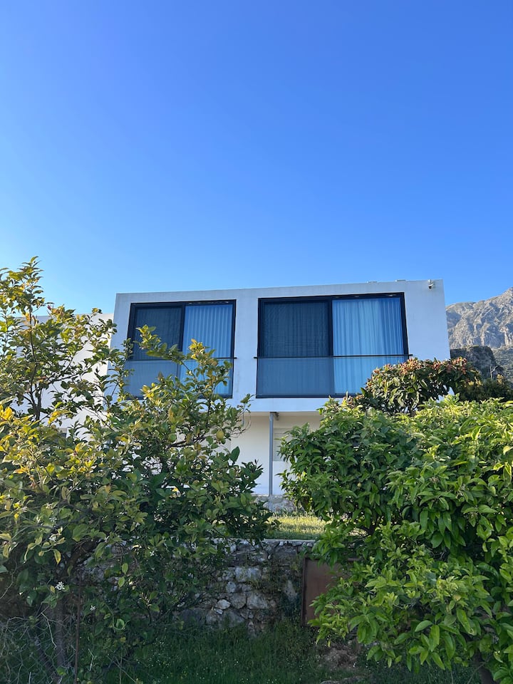 Room With Twin Bed - Dhërmi