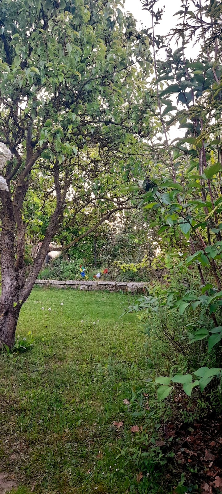 Individuelles Appartement - Springe