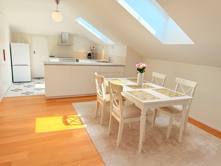 Cozy Rooftop Flat - Lausanne Centre - Renens