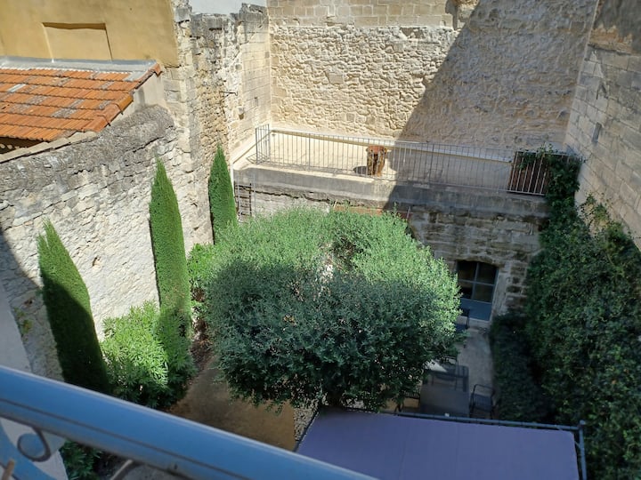 Studio Centre-ville Calme Clim - Avignon