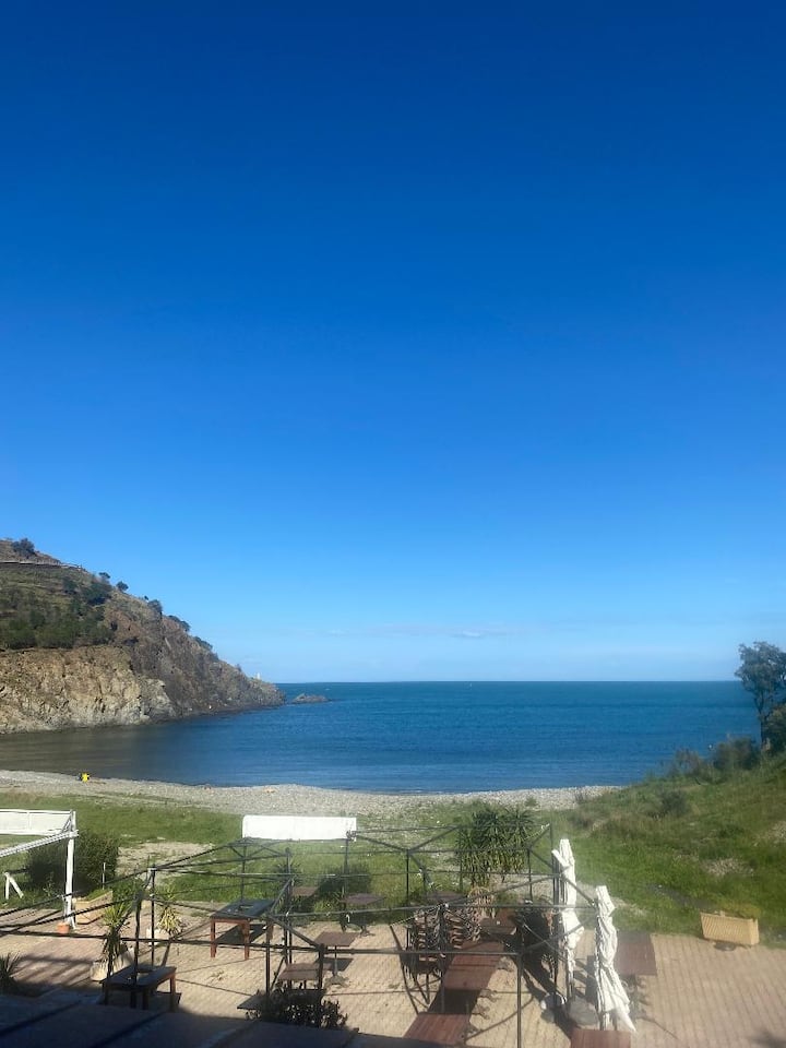 Studio Vue Sur Mer - Banyuls-sur-Mer