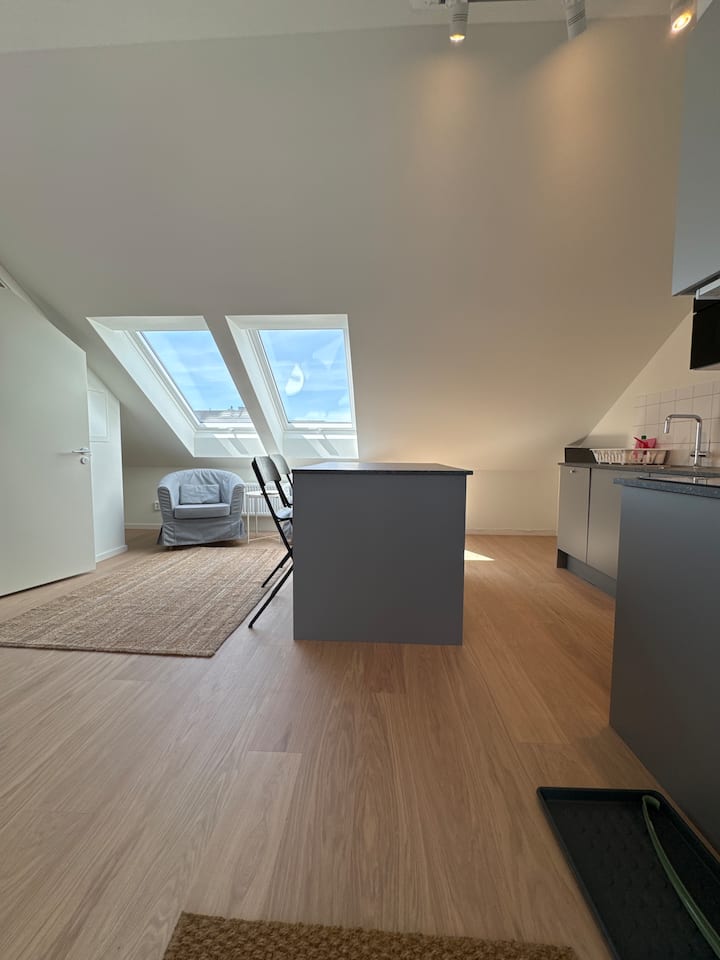 Studio Apartment In Gothenburg - Gotemburgo