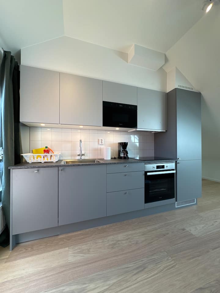 Studio Apartment In Gothenburg - Gotemburgo