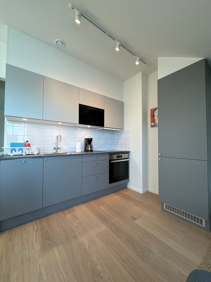 Studio Apartment In Gothenburg - Gotemburgo