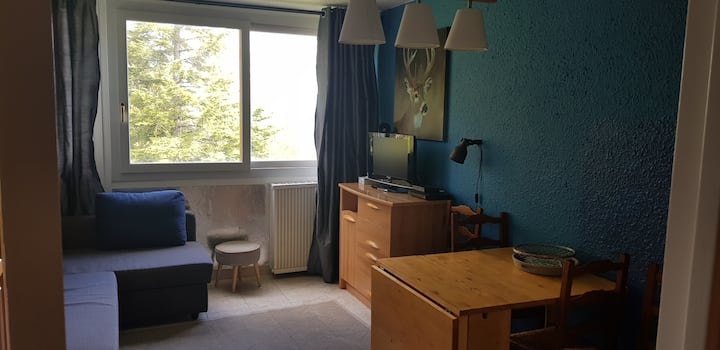 Studio 1600 Proche Centre - Pra-Loup