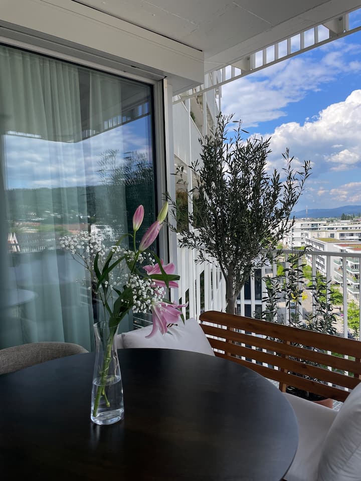 Penthouse üBer Schwarzwald - Schlossberg