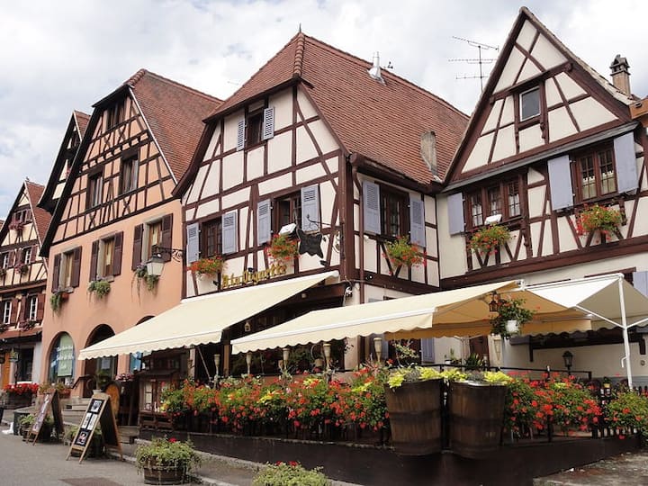 Chambres D'hôtes "Pinot Gris" Twins - Dambach-la-ville