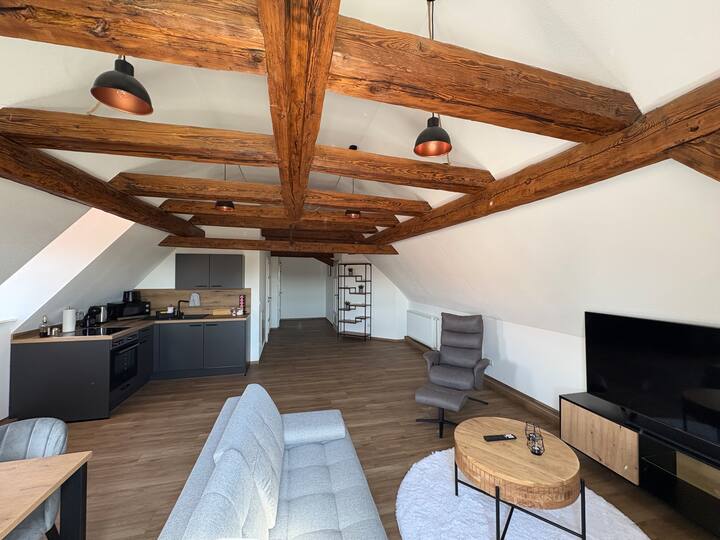 Serviced Apartment 8 "City View" -Alte Scheune Gun - Gunzenhausen