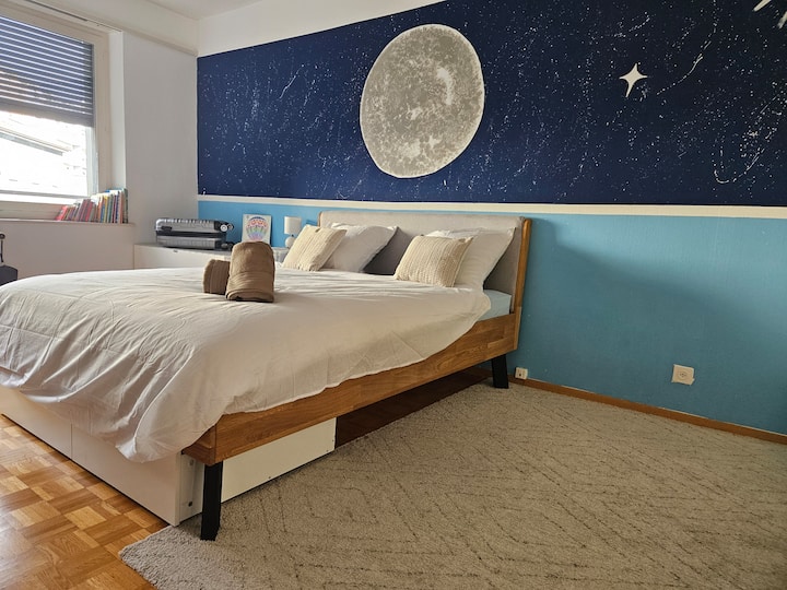 Jolie Chambre Spacieuse Et Cosy! - Ginebra