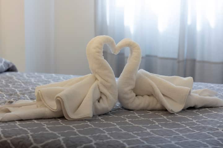 Posidonia Mediterránea - Oropesa del Mar