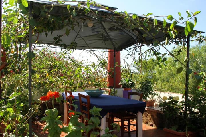 Casa Terranova B&b - Ustica