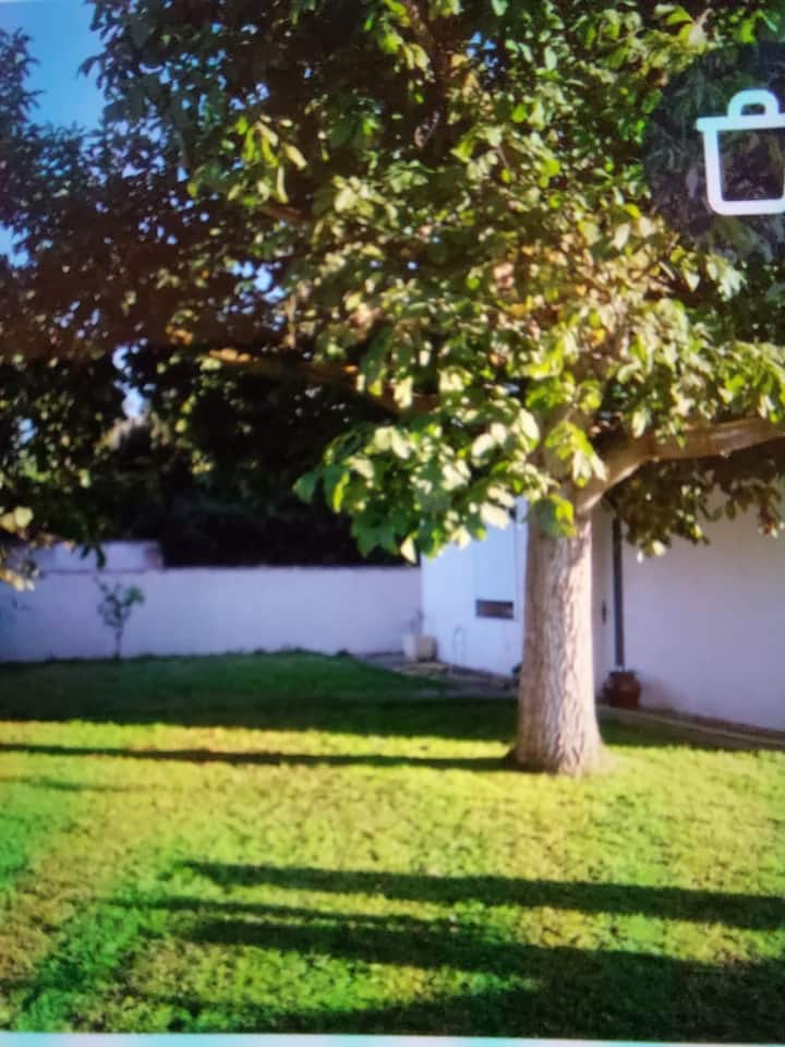 Rez De Villa Avec Jardin Au Calme - Six-Fours-les-Plages