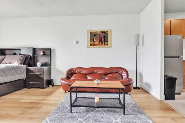 Parkside Studio In The Heart Of Downtown - Montreal