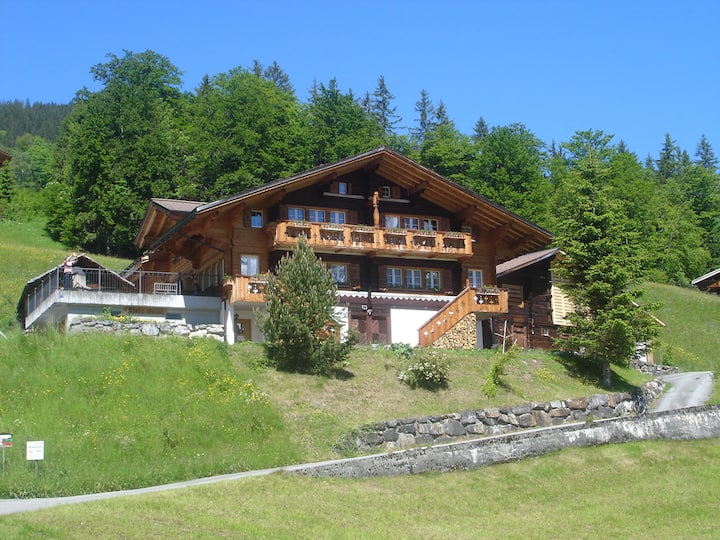 Gemütliches Apartment Im Chalet Dg - Grindelwald