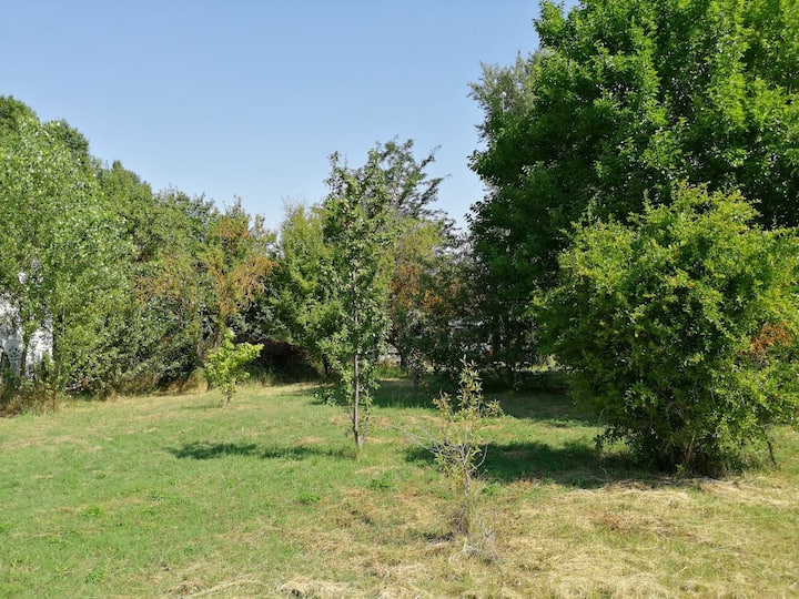 Acampada En Mí Jardín - Zuera