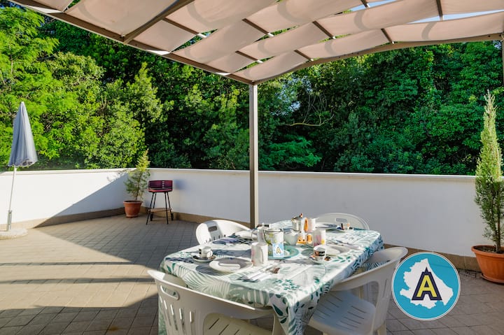 Appartamento Di Catia - Silvi
