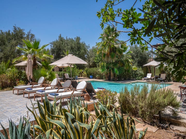 Riad Palais D'hôtes Aghmat Marrakech - Ourika