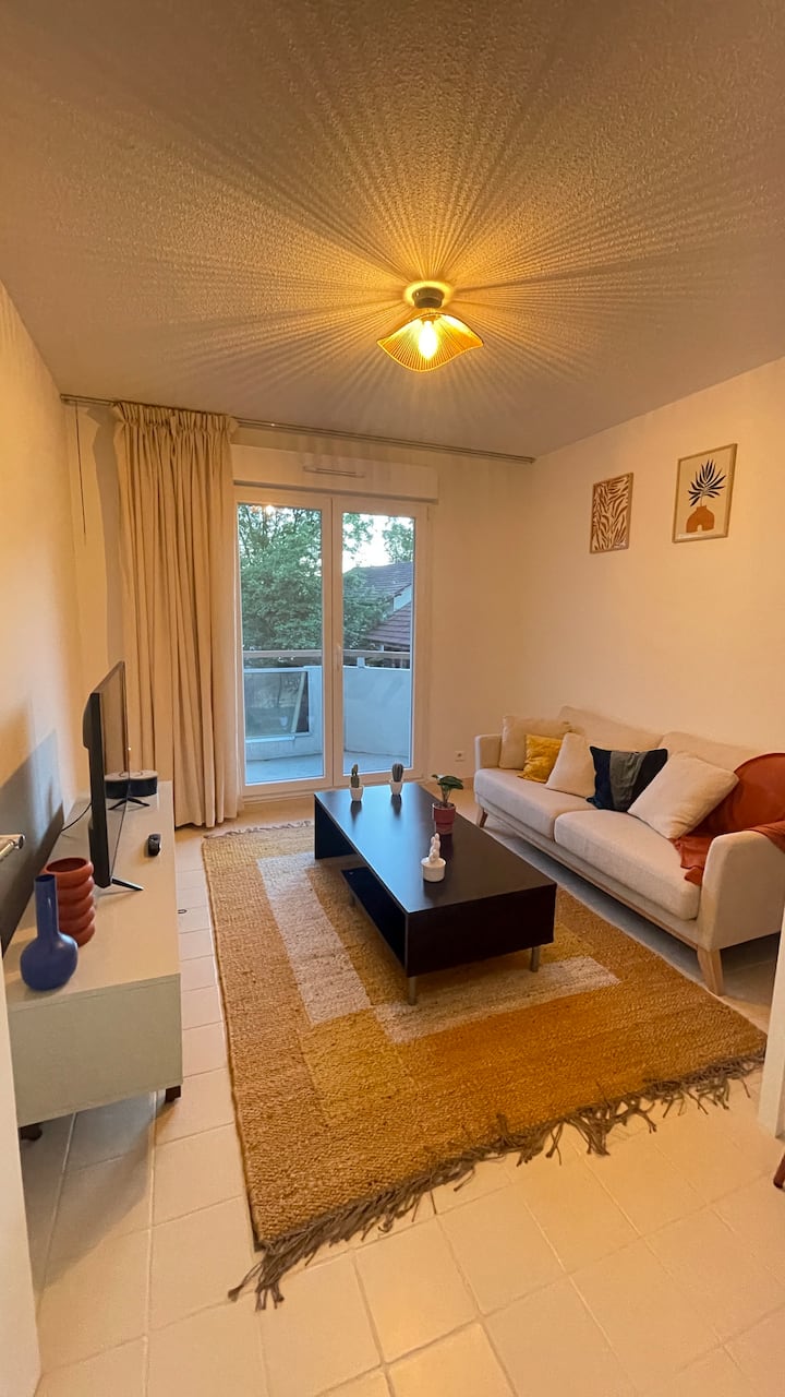 Appartement T2 à 5mn De Genève - Gaillard