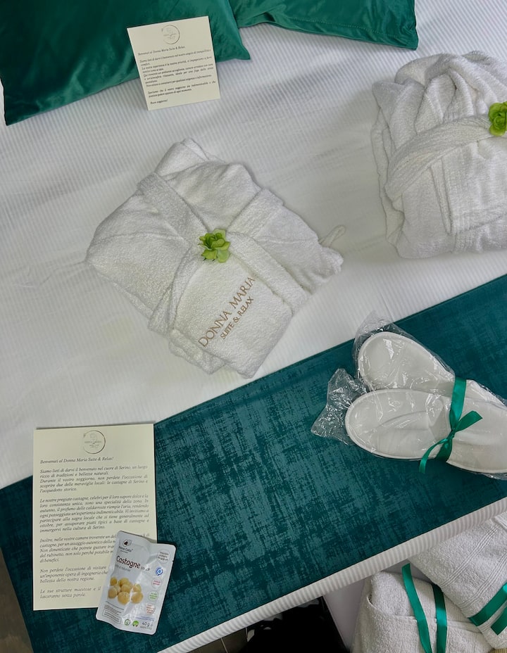 Donna Maria Suite E Relax 
Suite Francy - Serino