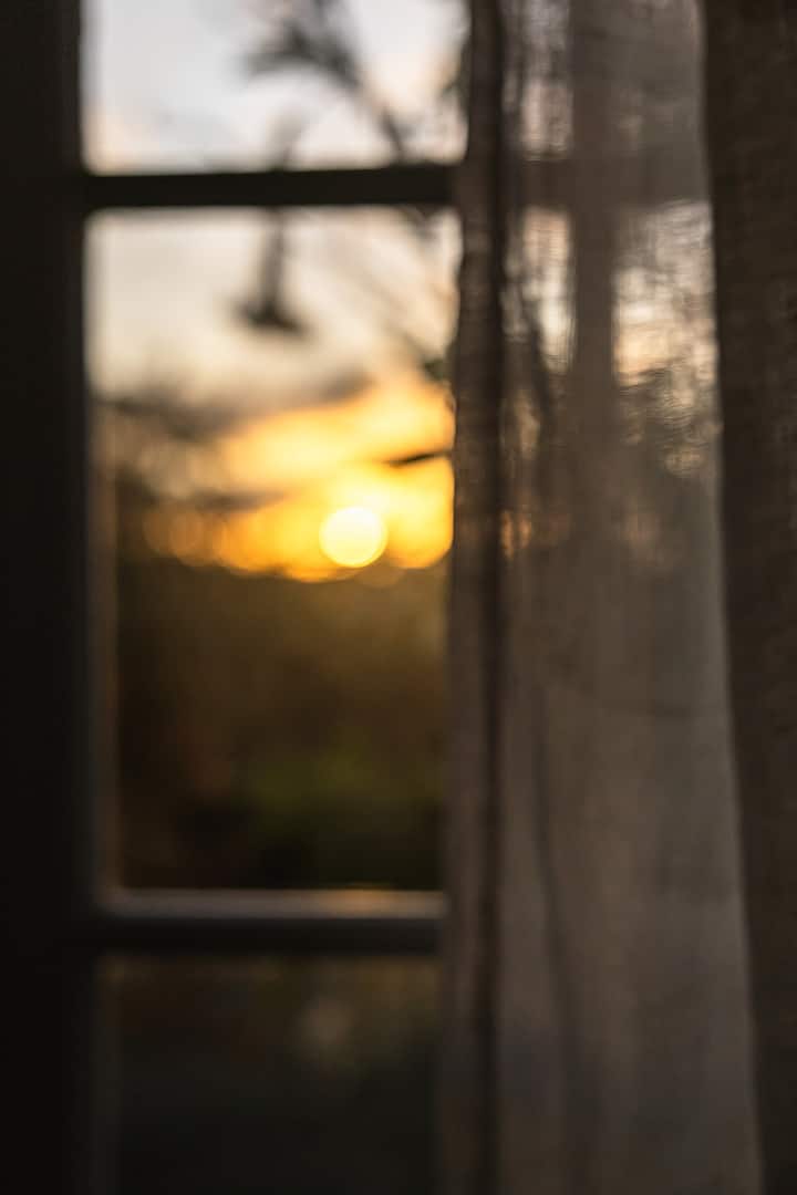 Stellar Violets - Whole Cottage - Manjimup