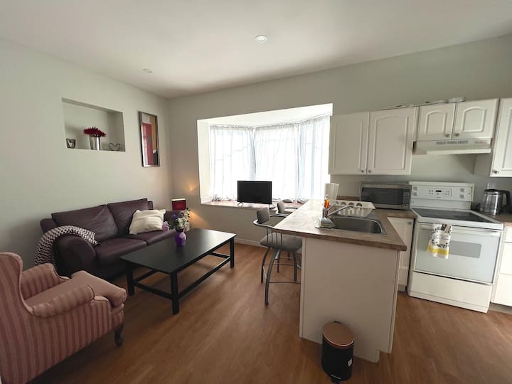 Apartment #5 Western University - London