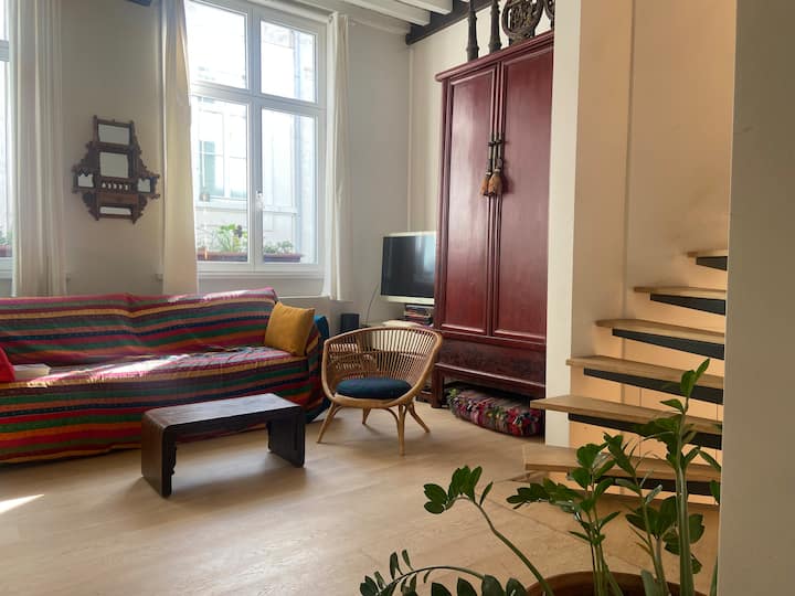 Historic House In City Center - Antwerpen