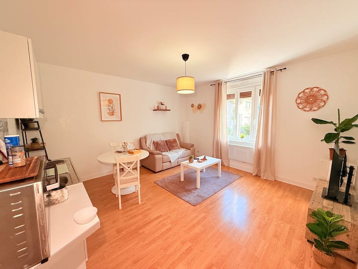 L'escapade De Schiltigheim - Cosy & Lumineux - Schiltigheim