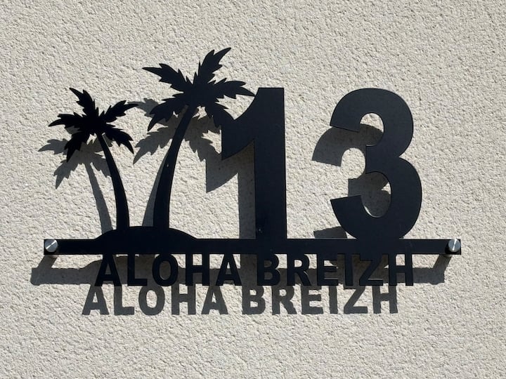 Maison Prés Des Plages Avec Spa - Audierne