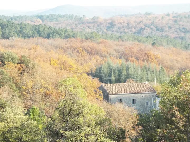 Chambre D'hôtes En Forêt - Vallon-Pont-d'Arc