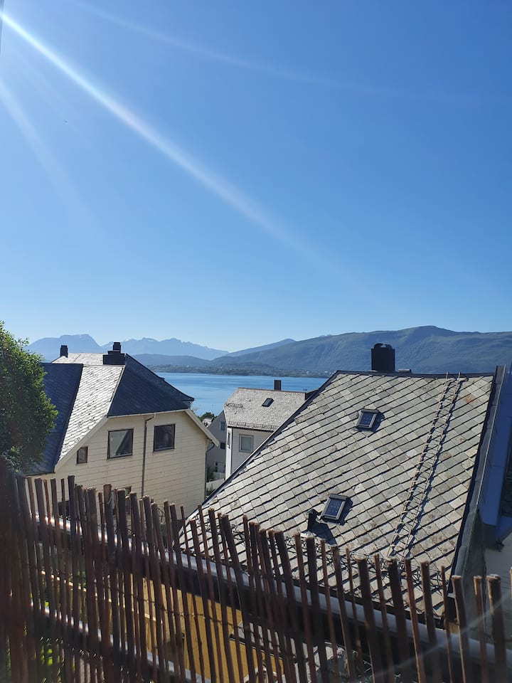 ÅLesund Sentrum. 2-4 Gjester - Ålesund