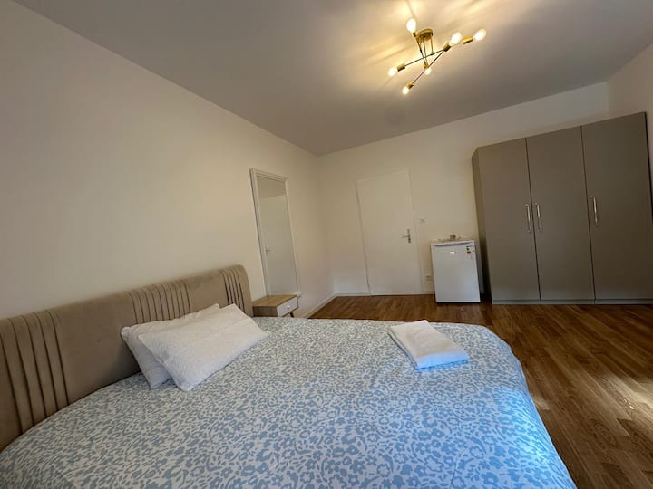 21 Grande Chambre Côté Gare Et Onu - Ginebra