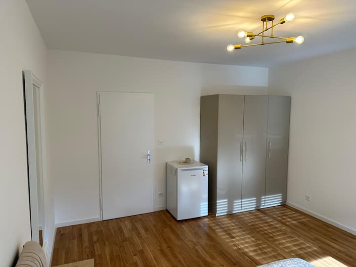 22 Chambre Spacieux Proche Onu - Geneva