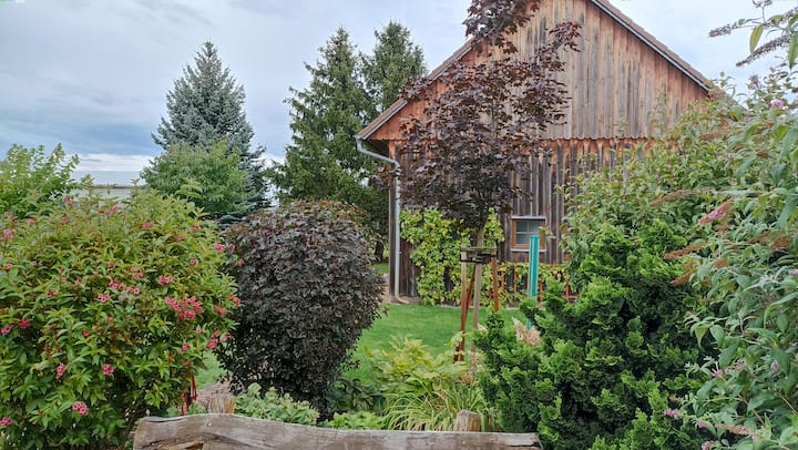 Ferienwohnung - Storchennest Drehnow - Peitz