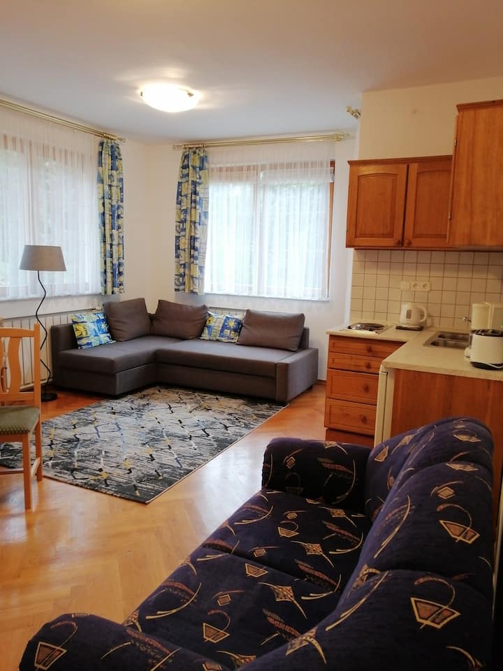Villa Rosa Családi Apartman - Nagykanizsa