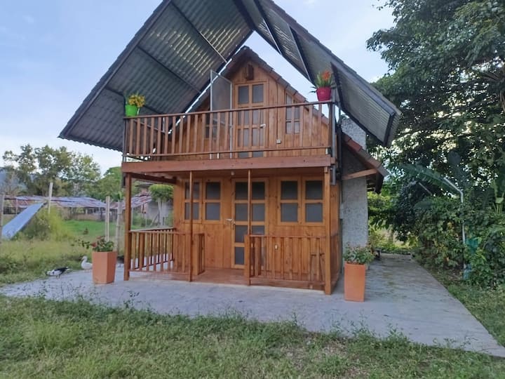 Espacio De Paz - Pitalito