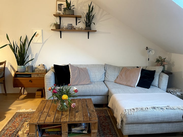 Helle Gemütliche Wohnung Im Angesagten Babelsberg - Potsdam