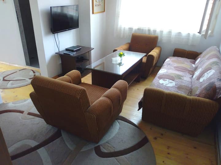 Мишел - Panichishte