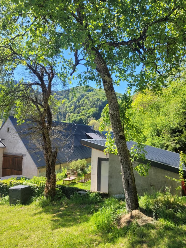 Petite Maison Au Cœur Du Sancy - Lac des Hermines