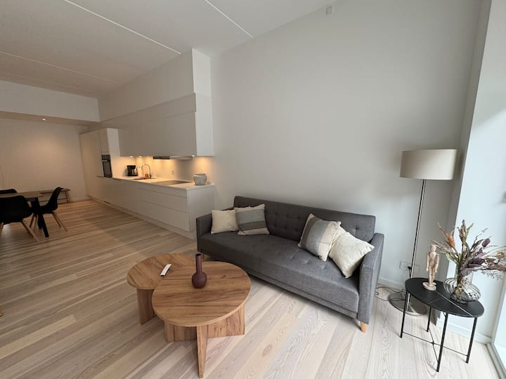 Luksus Lejlighed I København - Copenhagen