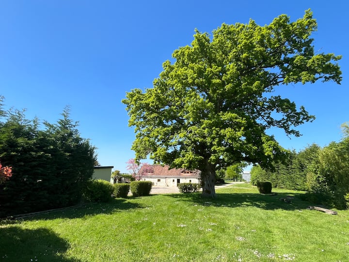 Maison De Campagne - Château-Renault