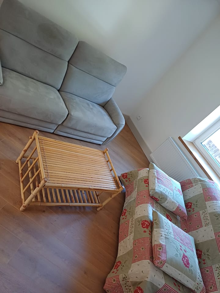 Appartement Dans Les Vosges - Remiremont