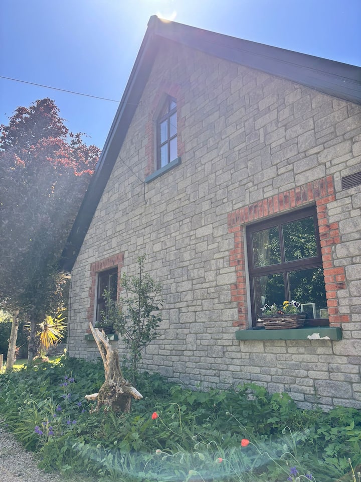 Woodland Song Retreat At Slieve Bloom Mountain - County Offaly