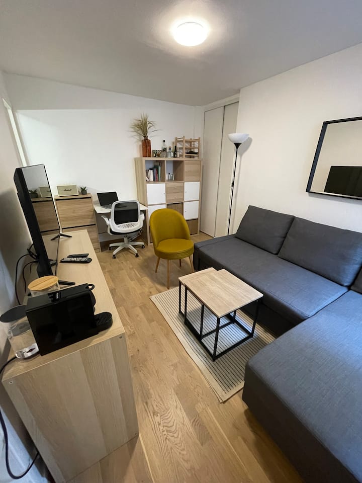 Joli Studio Paris 15 - Place de la Concorde