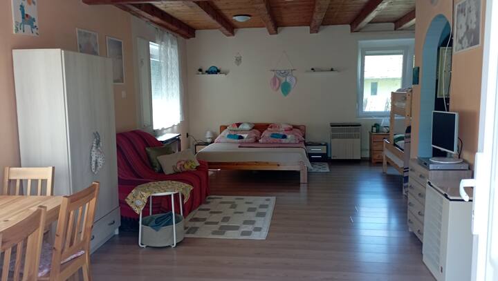 Andante Apartman Agárd Pároknak, Családoknak (2+2) - Lake Velence