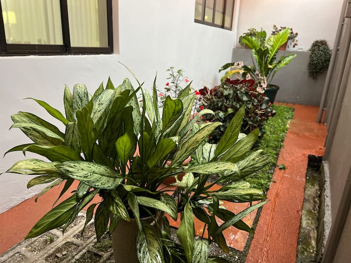 Casa 326 Turrialba Centro - Turrialba